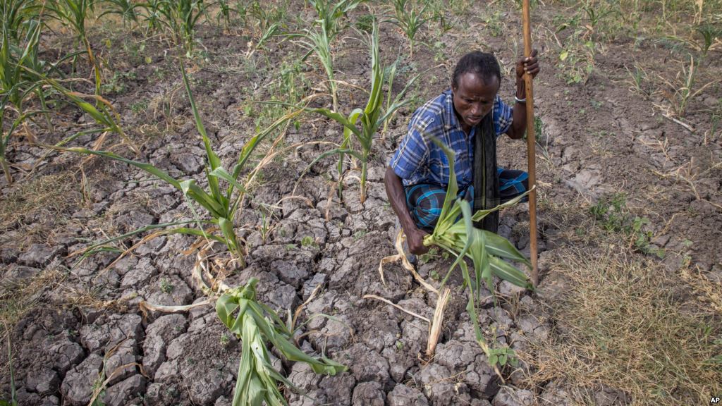 1984: The Parable of Ethiopian Famine and Foreign Aid – Active History