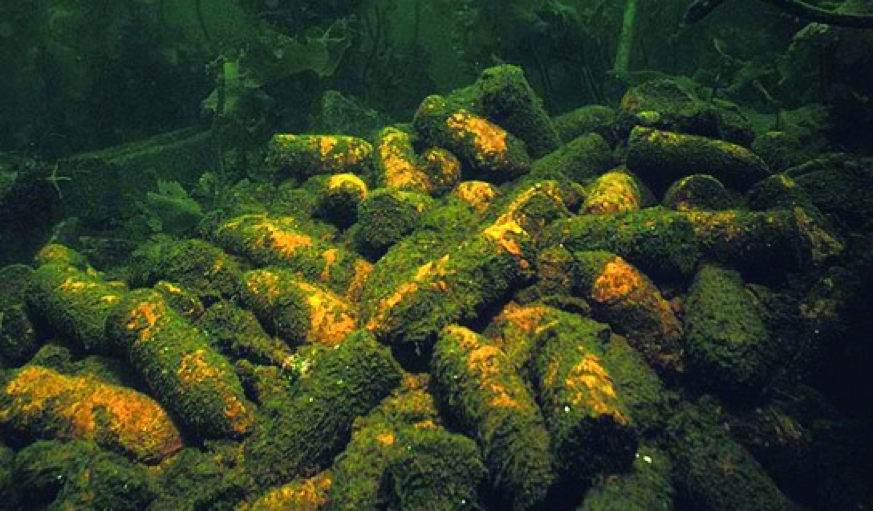 The Dark Side of Disarmament: Ocean Pollution, Peace, and the World ...